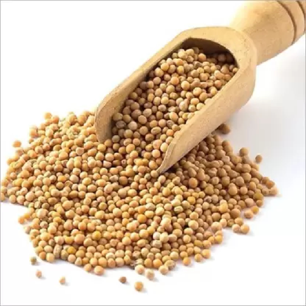 YELLOW MUSTARD SEED 100GM – Desi Mart